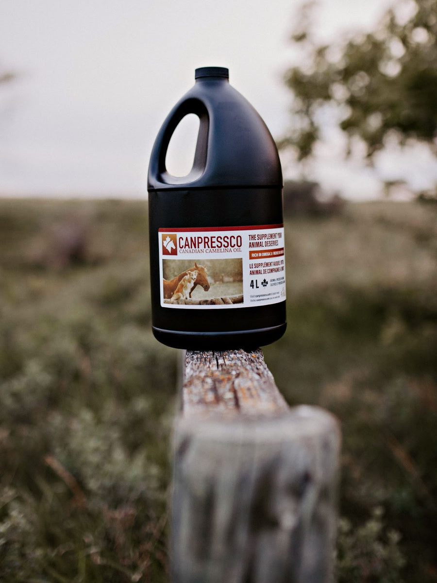 Canpressco Camelina Oil
